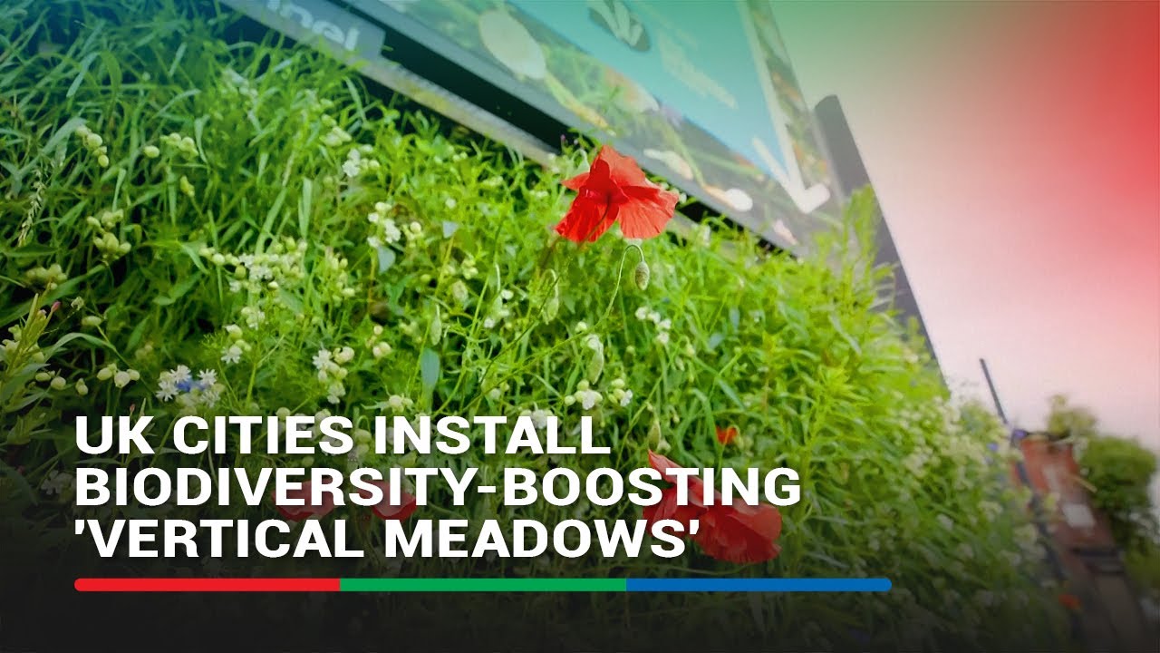 UK cities install biodiversity-boosting 'Vertical Meadows' | ABS-CBN ...