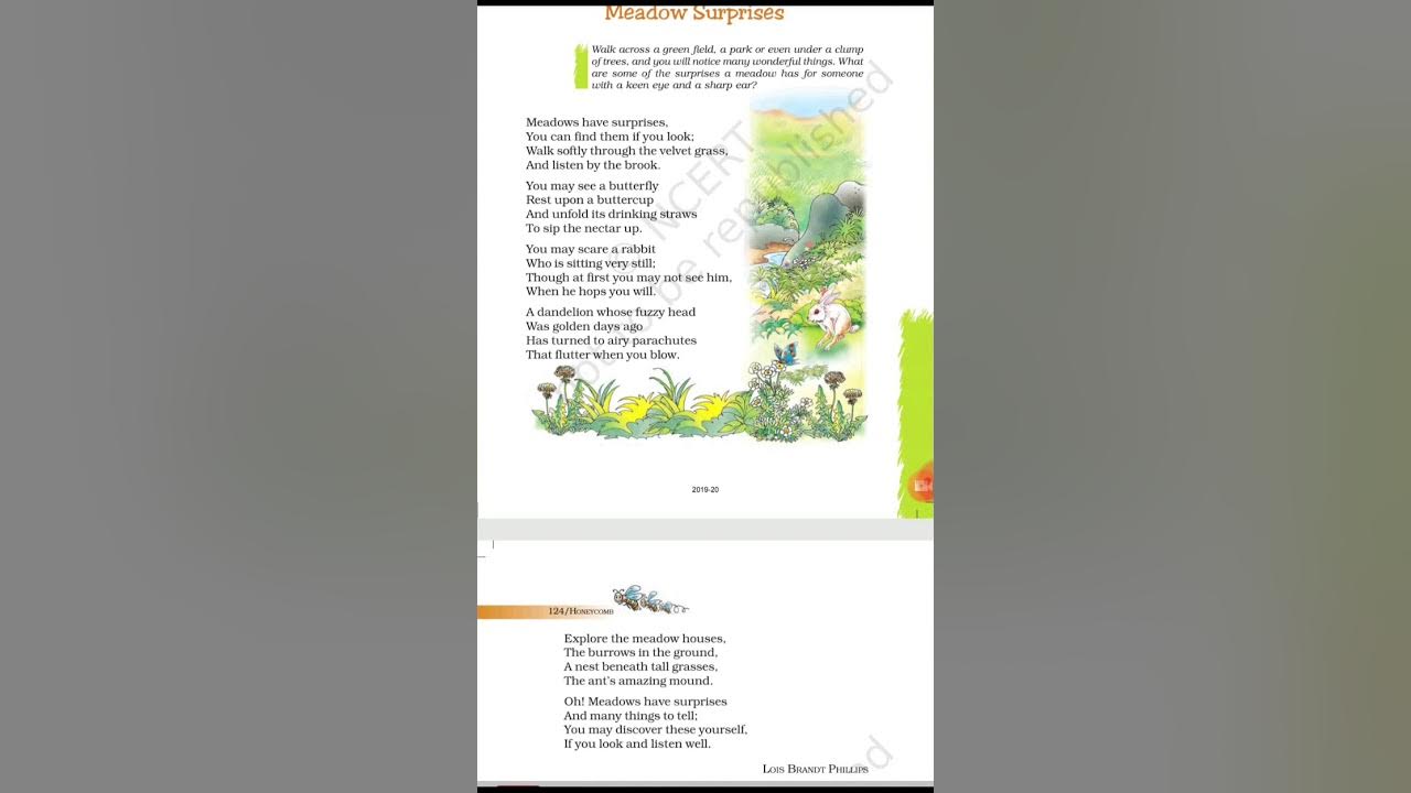 NCERT Class 7 Poem Meadow Surprises Full Explanation YouTube ncert-class-7-poem-meadow-surprises-full-explanation-youtube