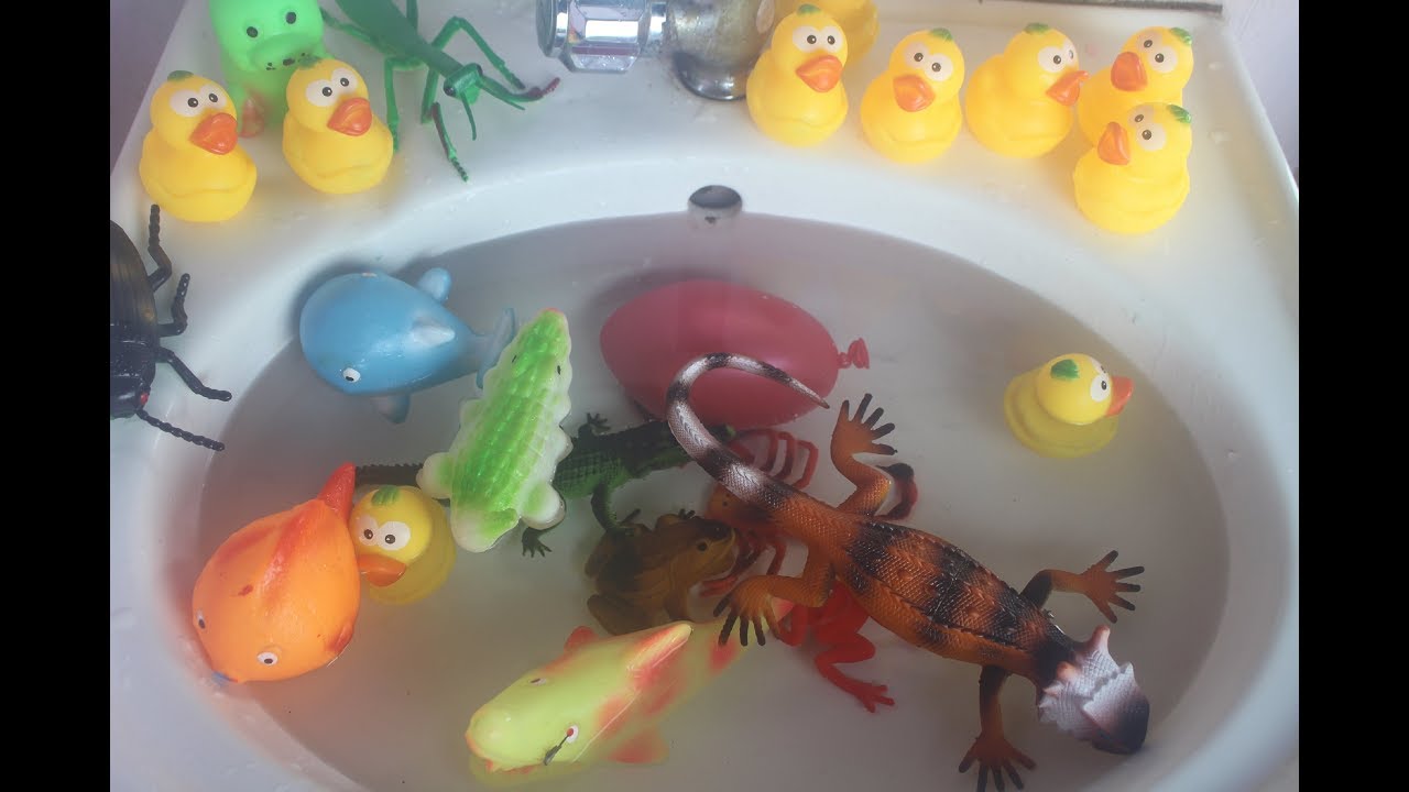 Color learn play with toy animal/Learn color with animals for kids ...