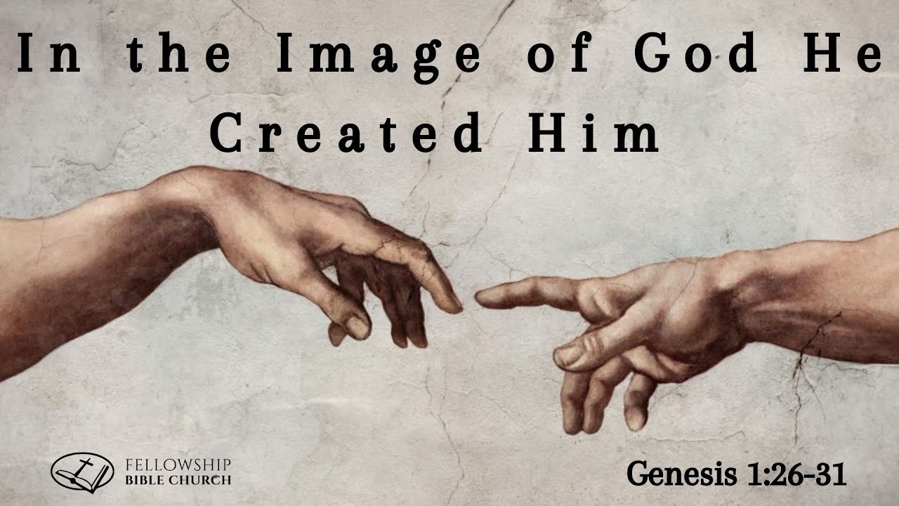 In the Image of God He Created Him - Genesis 1:26-31 Sermon - YouTube