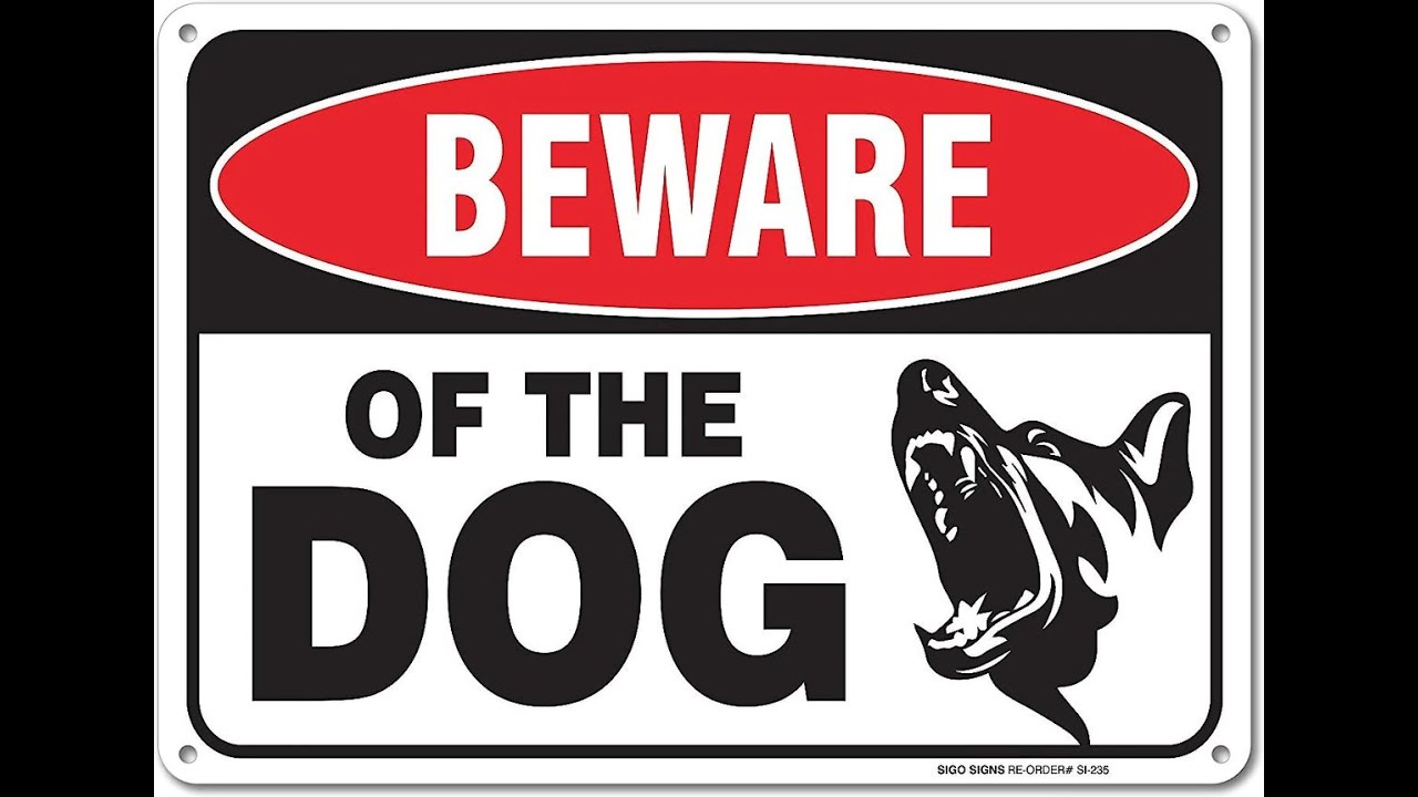 Big Dog Barking Howling Sound Effect - YouTube