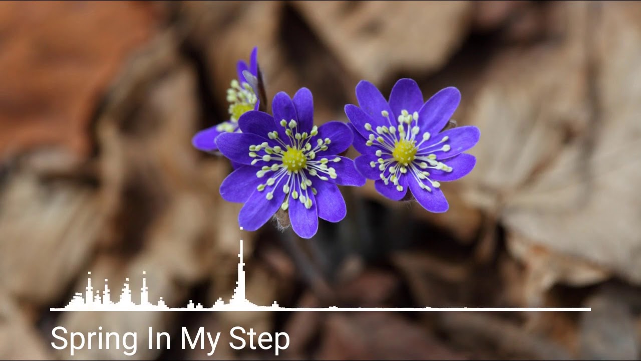 Spring In My Step | Silent Partner - YouTube