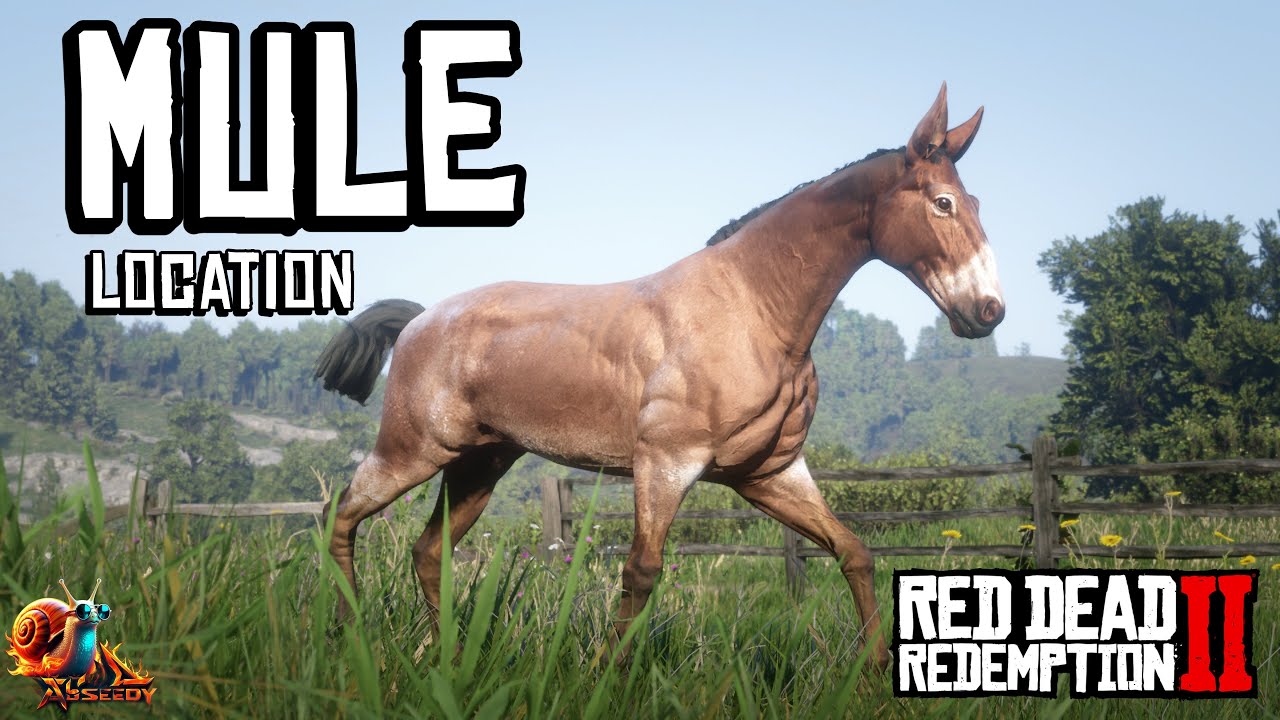 Mule Location - Red Dead Redemption 2 - YouTube