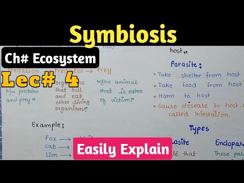 Symbiosis, Predation, Parasitism, Mutualism And Commensalism Class 12 ...