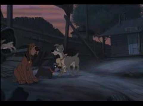 scamp [I promise you dad] - YouTube