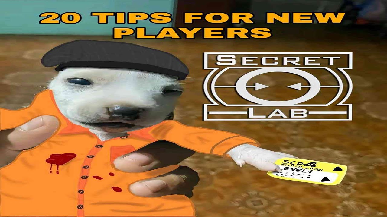 20 TIPS FOR NEW SCP:SL PLAYERS - YouTube