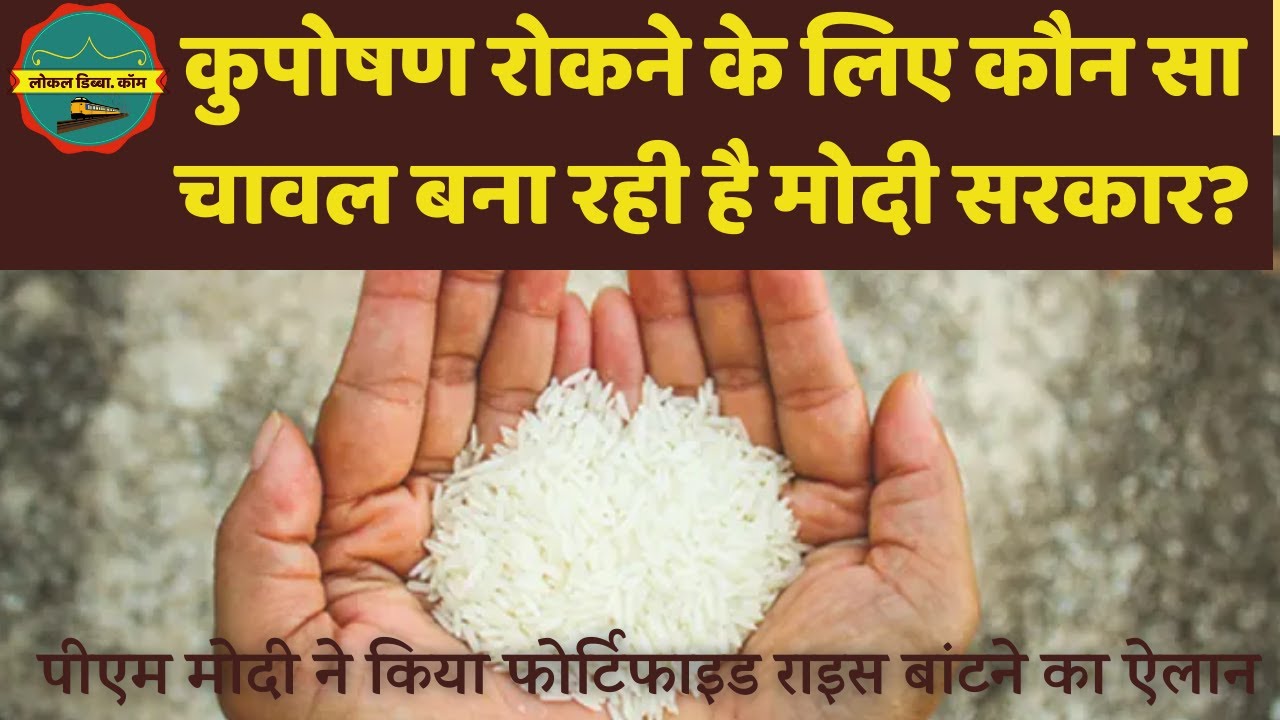 कुपोषण दूर करने वाला Fortified Rice क्या होता है? - YouTube