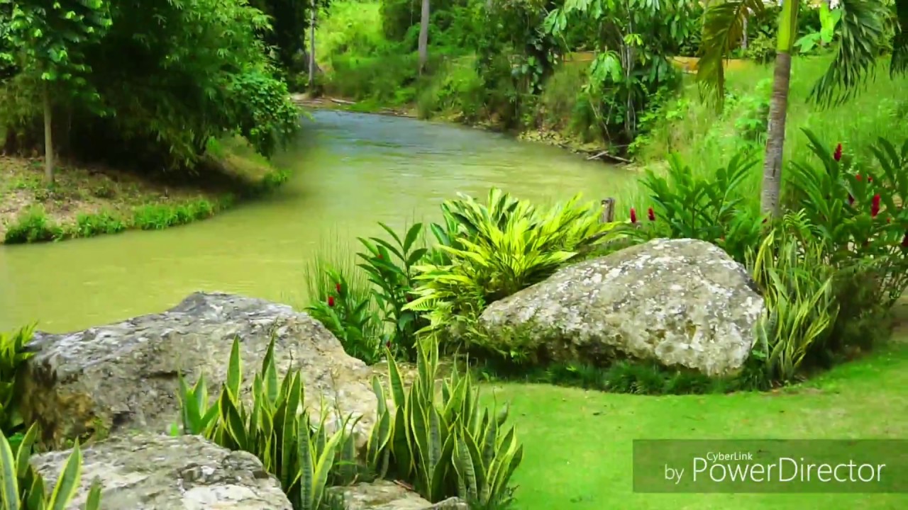 Chukka at Good Hope Estate- Jungle Adventure Falls - YouTube