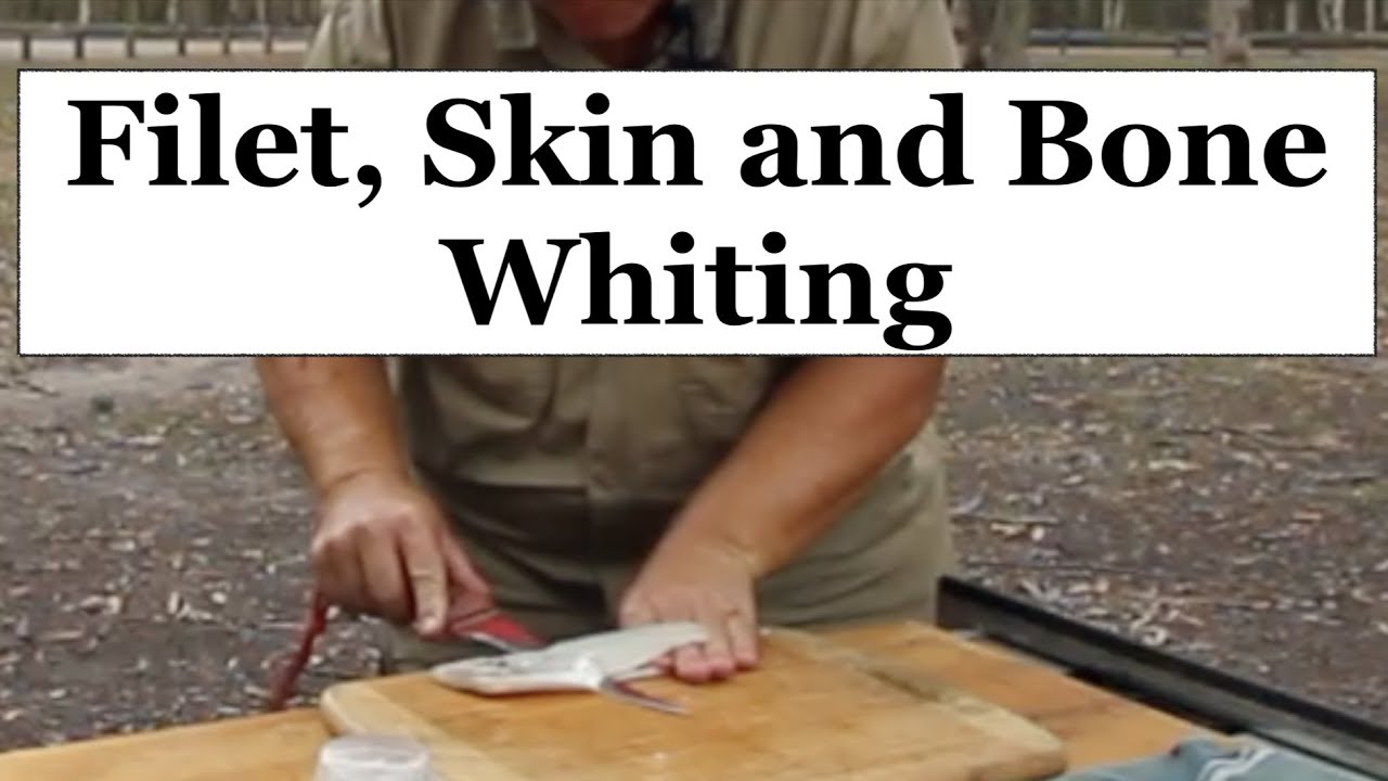 Filet, Skin and Bone Whiting - YouTube