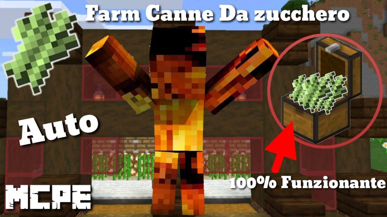 Farm Canne da Zucchero Automatica!!! MINECRAFT PE/Bedrock Edition ...