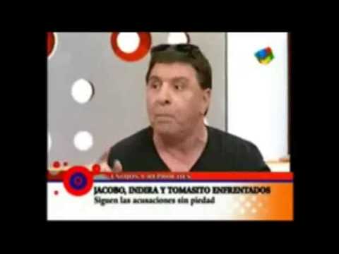 Son pumas de bengala - YouTube
