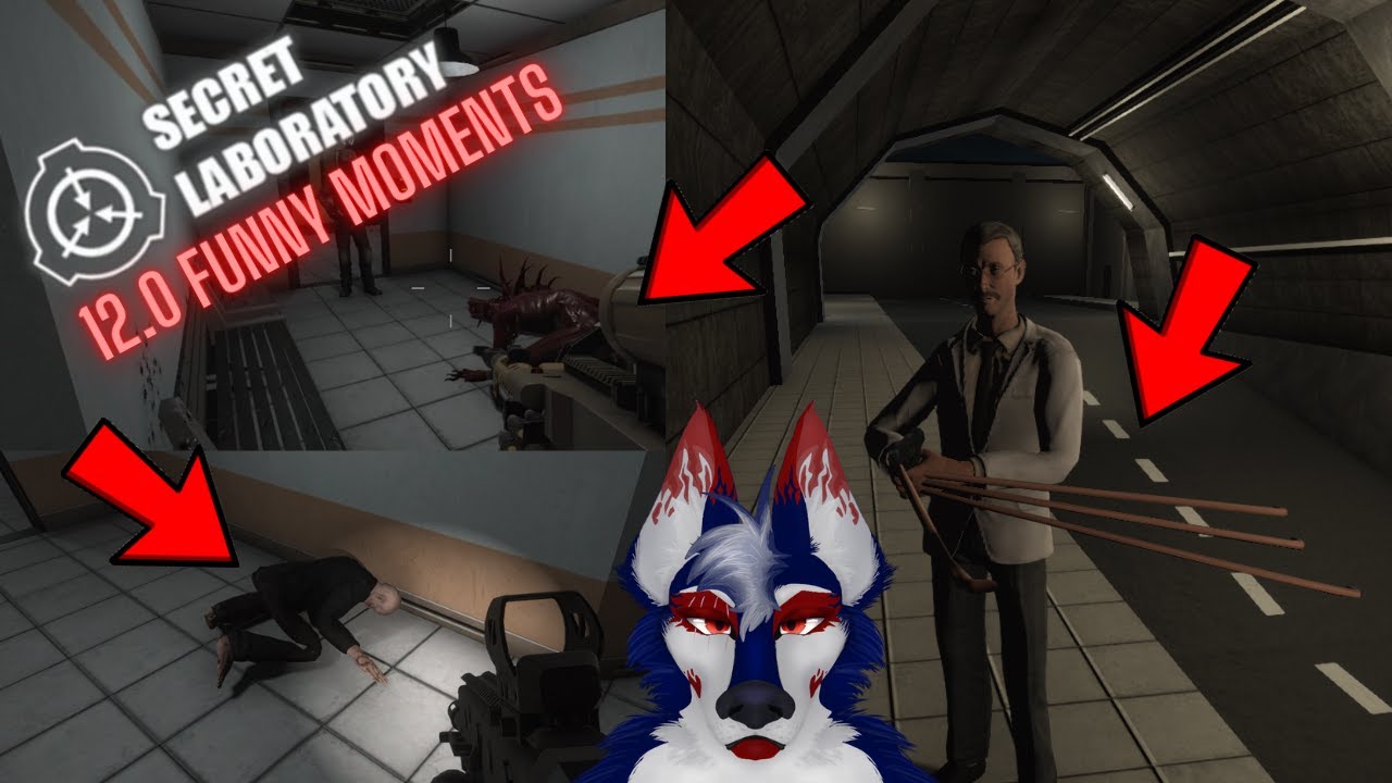 SCP: Secret Laboratory's Mimicry Update Makes Me Cry - YouTube