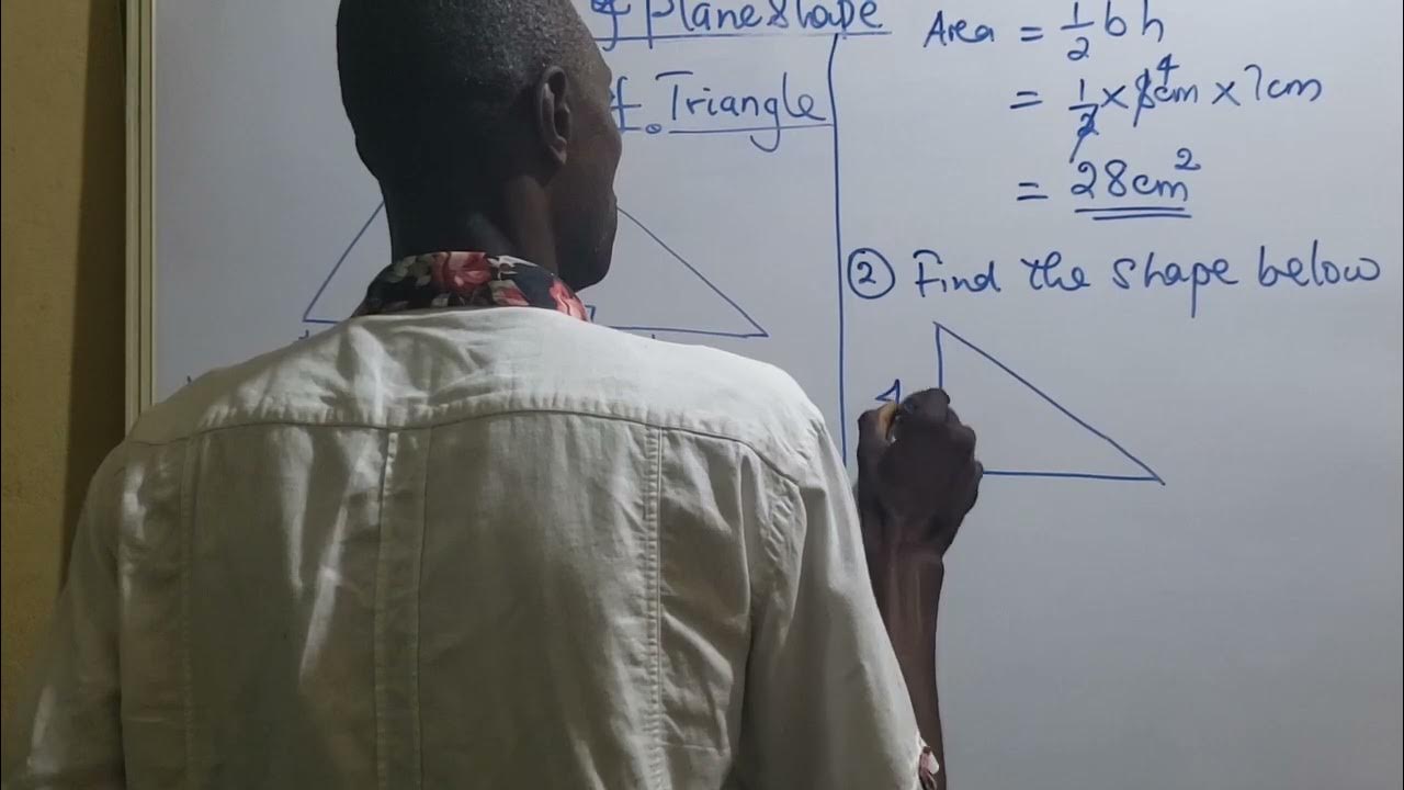 How to calculate Area of Triangle - YouTube