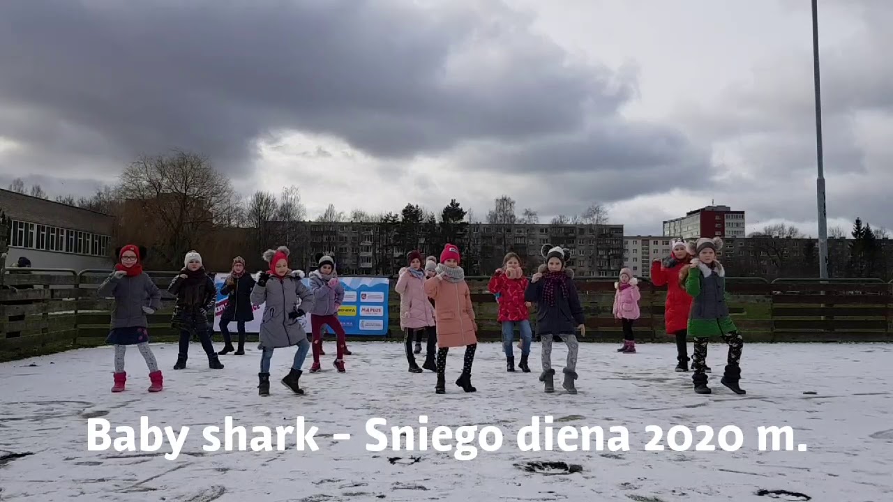 Baby shark - Zumba kids fitness - YouTube