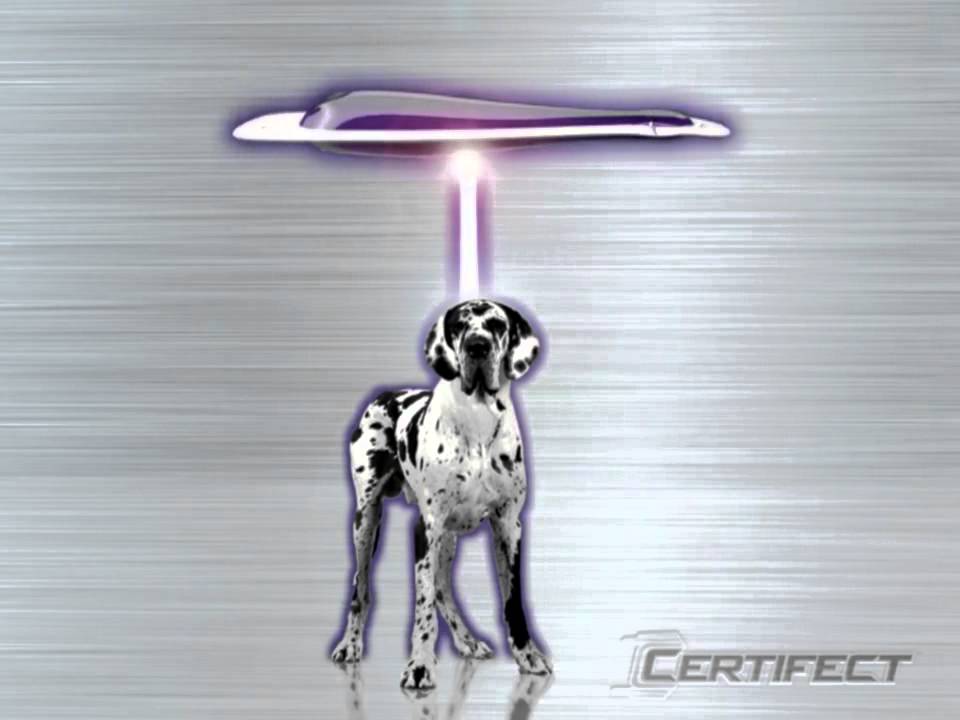 Certifect - YouTube