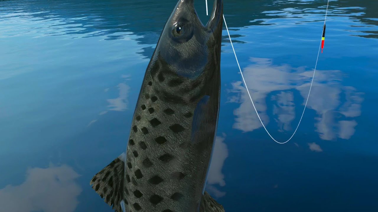 Real VR Fishing - Catching the Duskspeck Trout - YouTube
