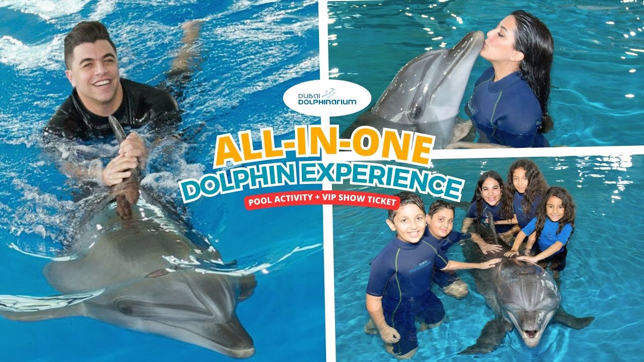 Ultimate Dolphin Adventure · Swim with Dolphins · Dubai Dolphinarium ...