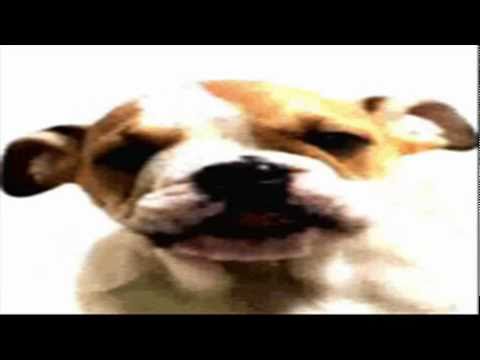 Starbuck - Moonlight Feels Right - YouTube