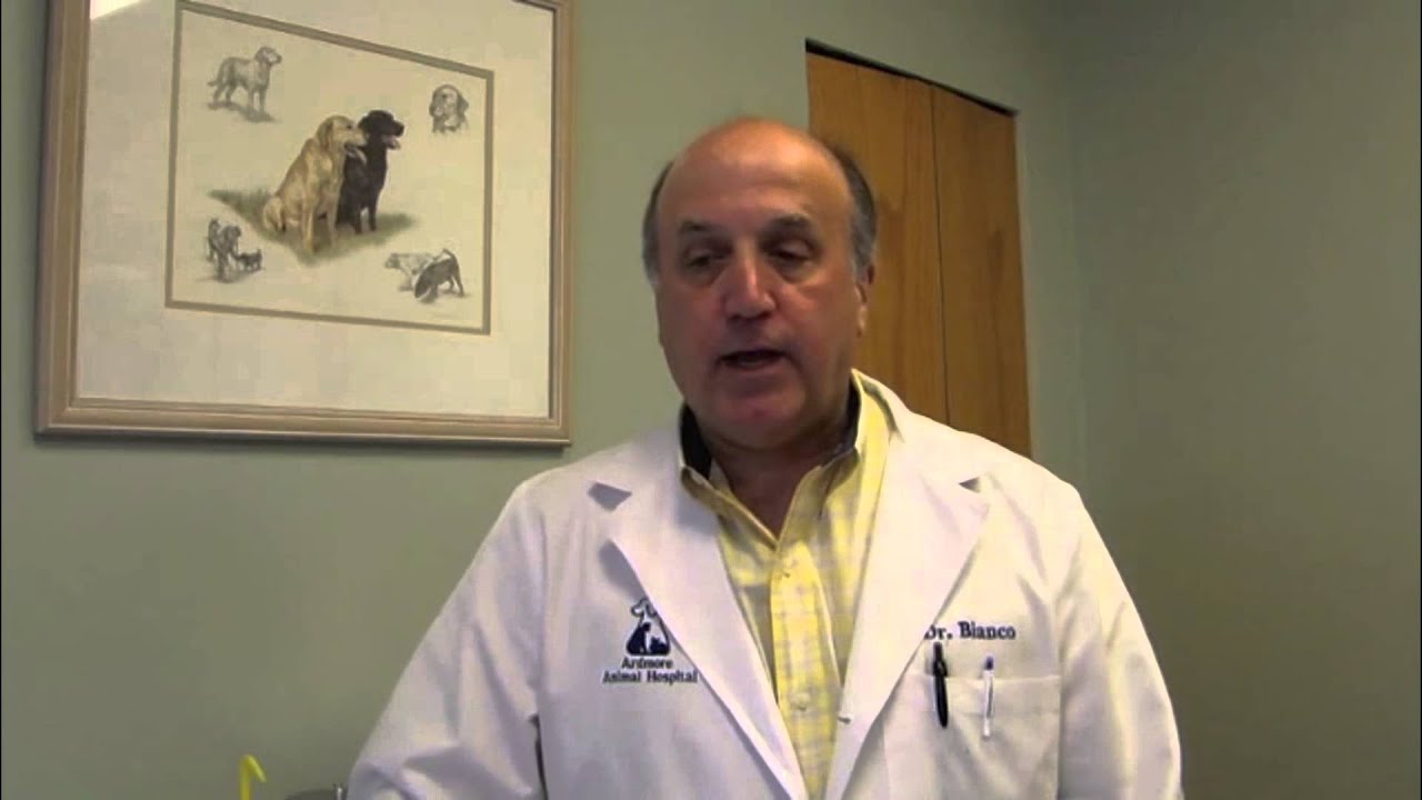 Don Dowd Video Testimonial 5 - YouTube