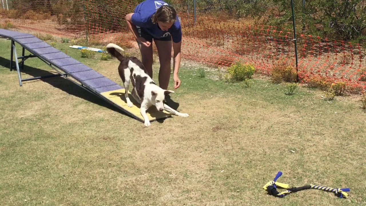 Testing 2o2o - YouTube