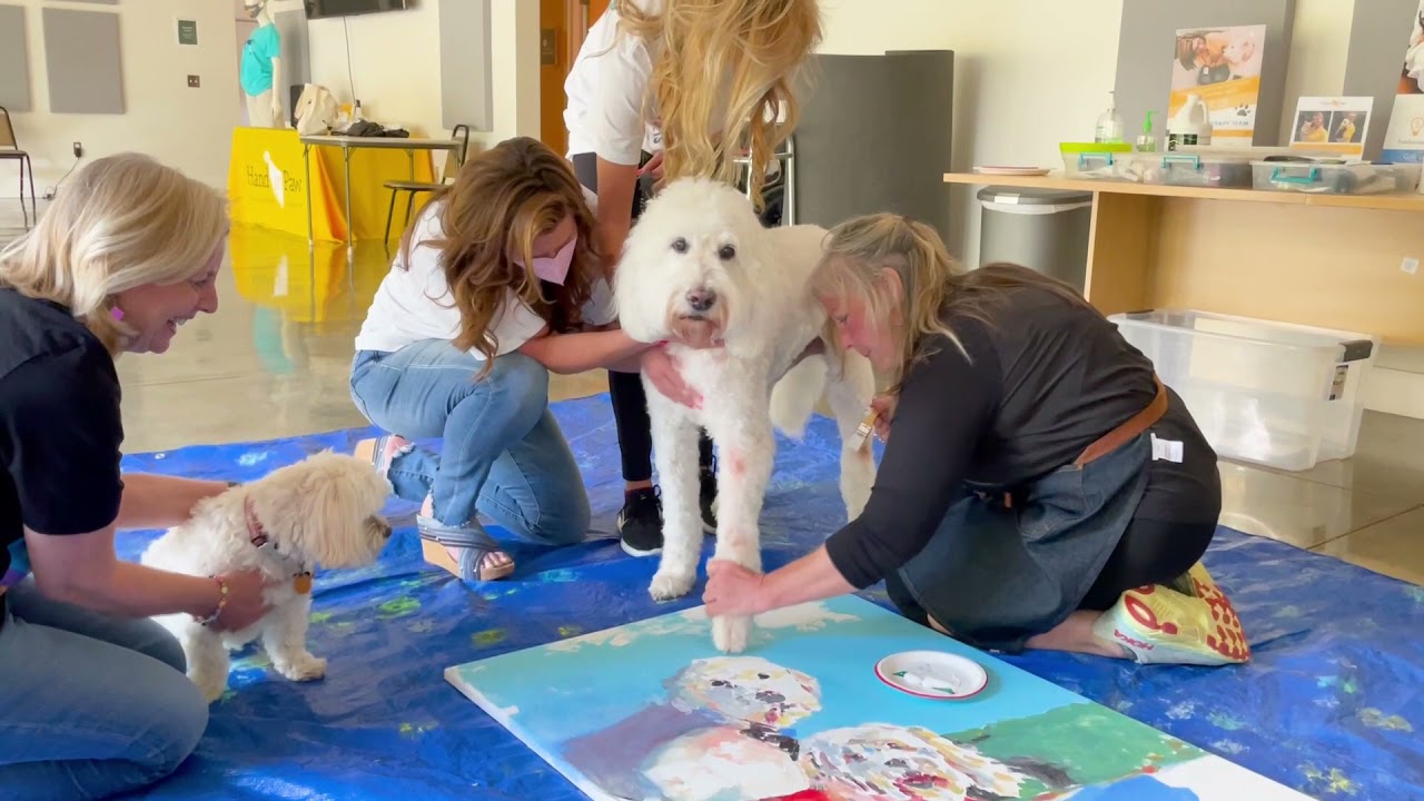Picasso Pets Painting Session Compilation 2021 - YouTube