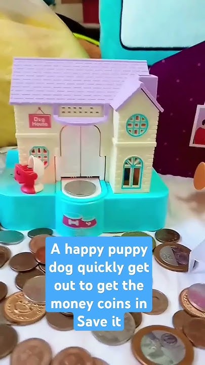 A happy puppy dog quickly get out to get the money coins to save it 🌈🌈# ...
