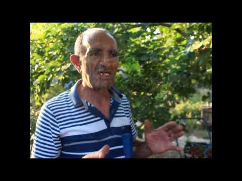 Şahlar Şükürovun ixtiraları