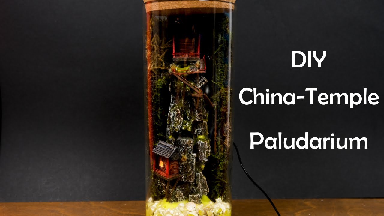 I made a realistic chinese temple paludarium | real tiny waterfall ...