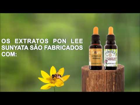 EXTRATOS DE PRÓPOLIS PON LEE