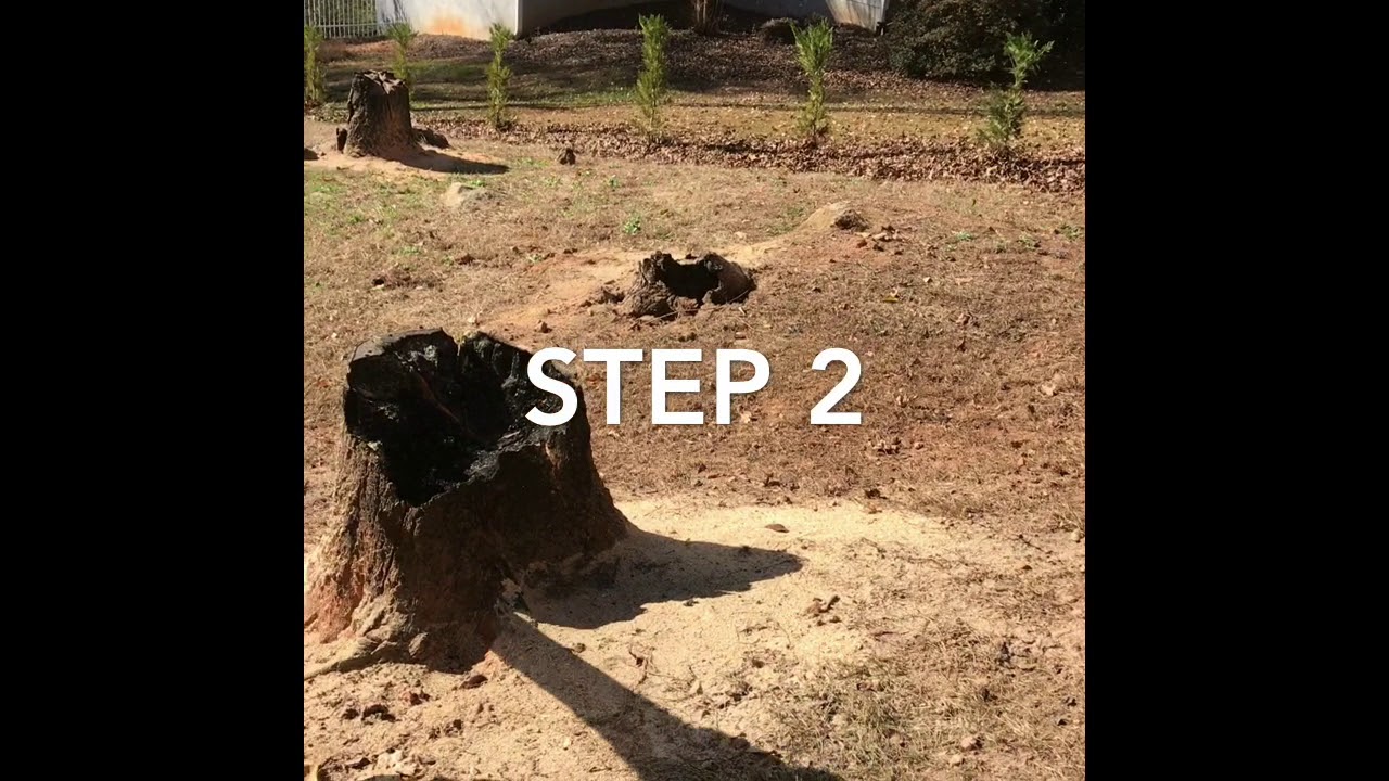 How To Burn Stumps - YouTube