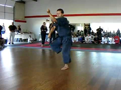 Shihan Harrington's Go pei sho. - YouTube