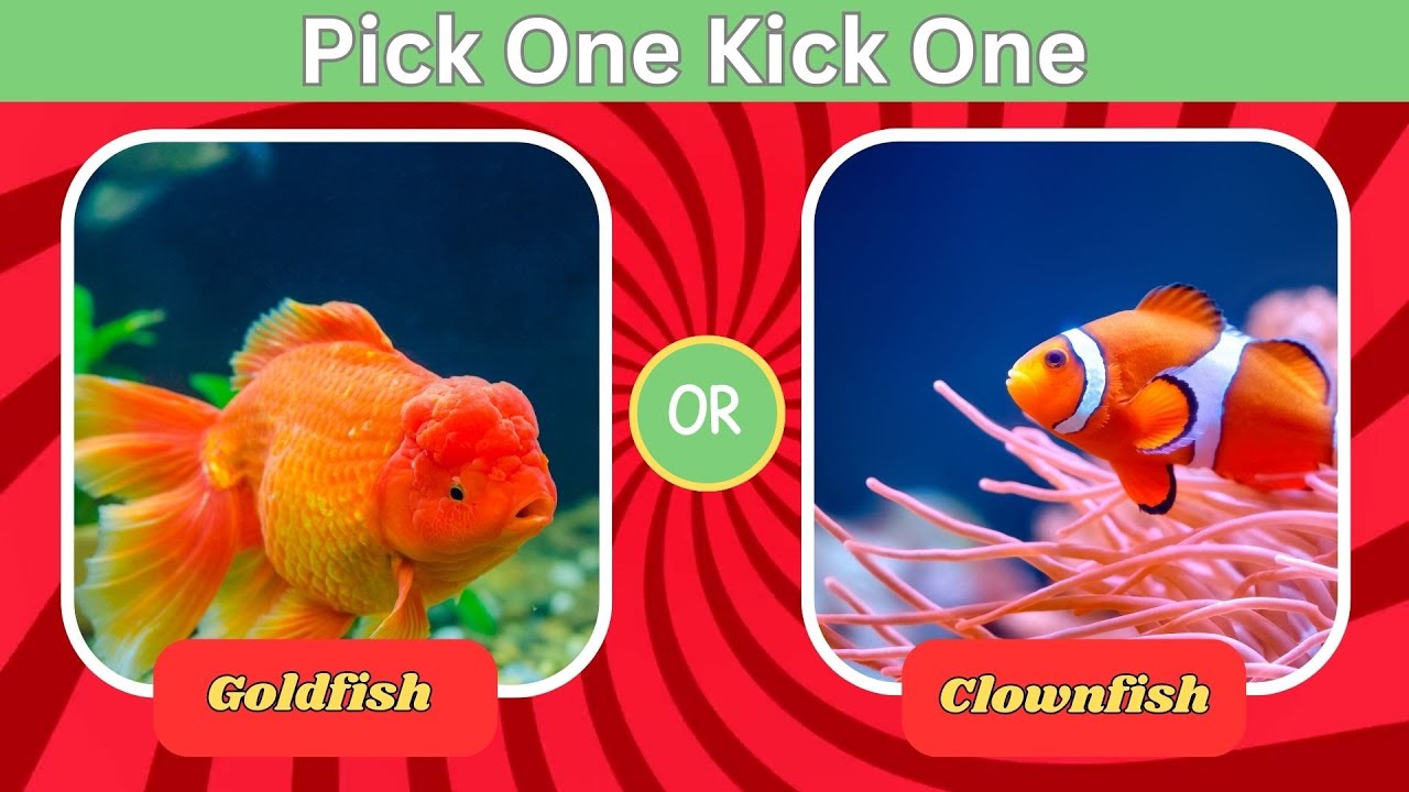 Pick One, Kick One: Animals Edition - Fun Animal Comparison Game! - YouTube