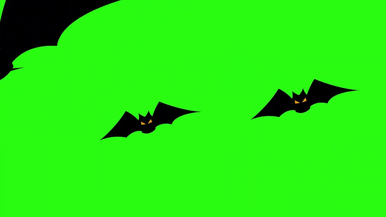 Proshow-flying bats GreenScreen - YouTube