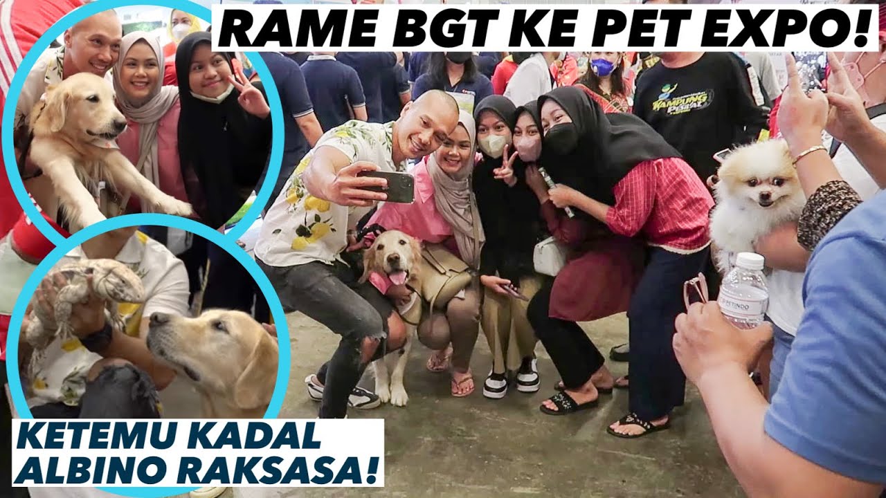 SNOWEE & BINATANG2 UNIK! GOLDENFAMS RAME BGT! - YouTube