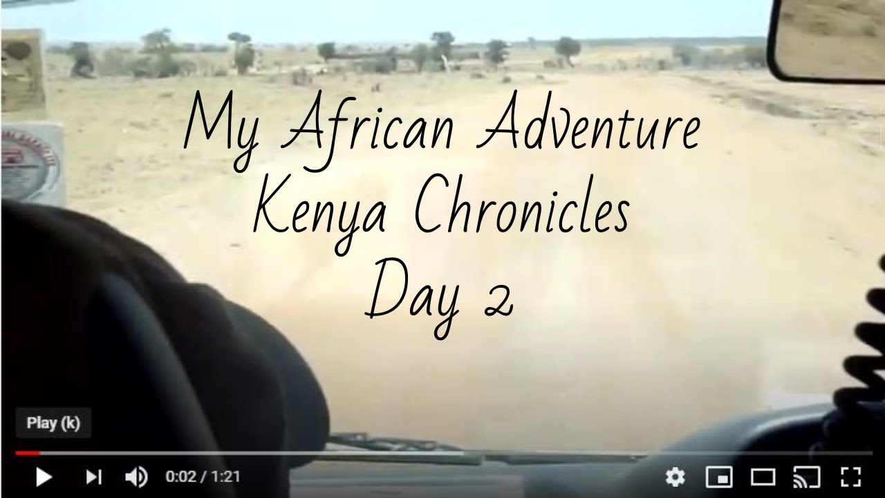 Day 2 of My African Adventure - YouTube