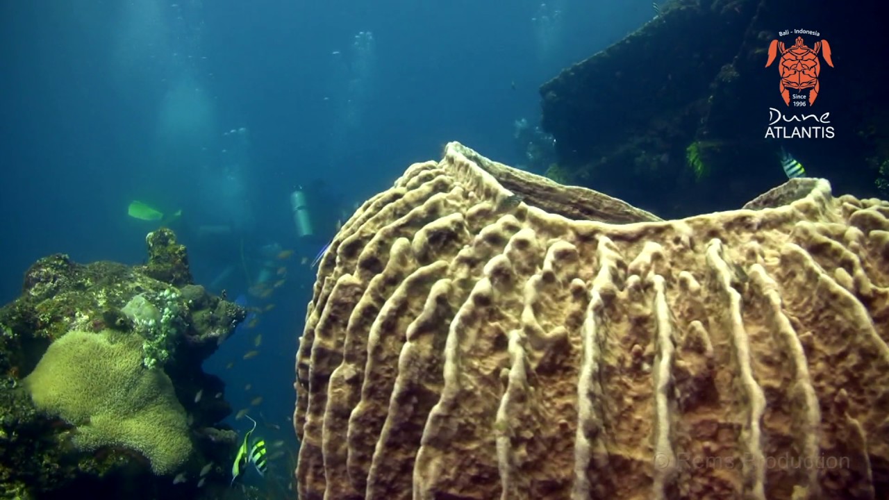 Atlantis Bali Diving in USAT Liberty (5-10-2016) - YouTube