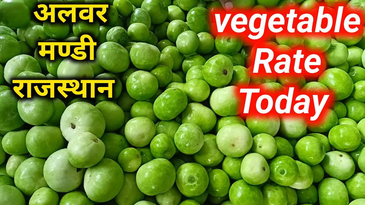 Today vegetable Market Price in Alwar Rajasthan/Vegetable wholesale ...