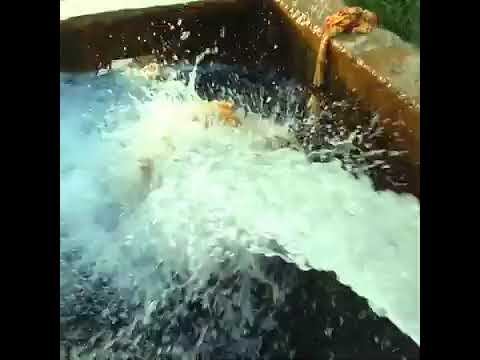 desi aunty bathing##hott