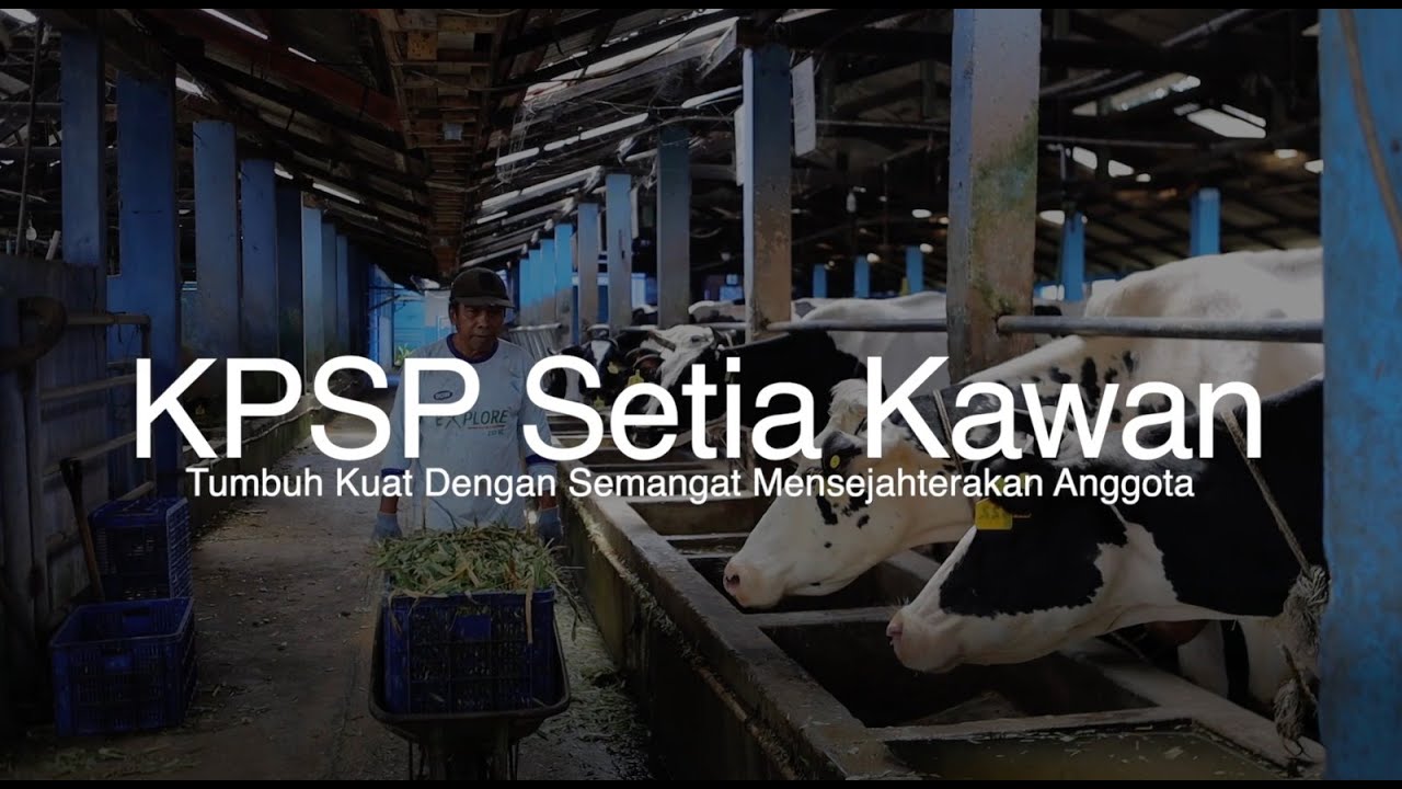 Tumbuh Kuat, Semangat Mensejahterakan Anggota, Bersama KPSP Setia Kawan ...