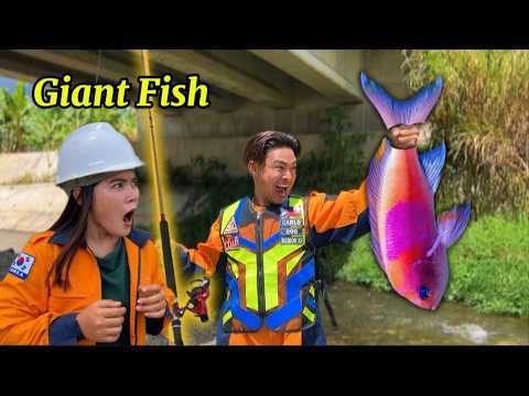 Hunting | Giant big fish