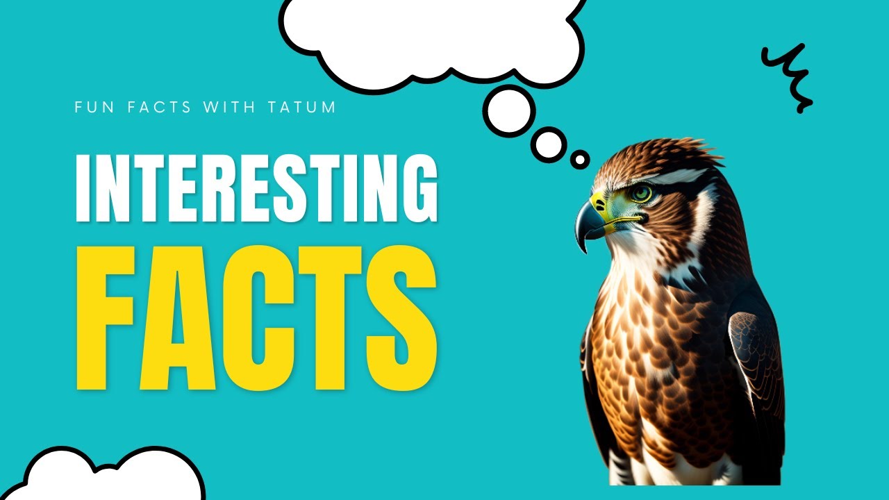 "The Sky's Ultimate Hunter: Discovering the Fastest Bird in the World ...