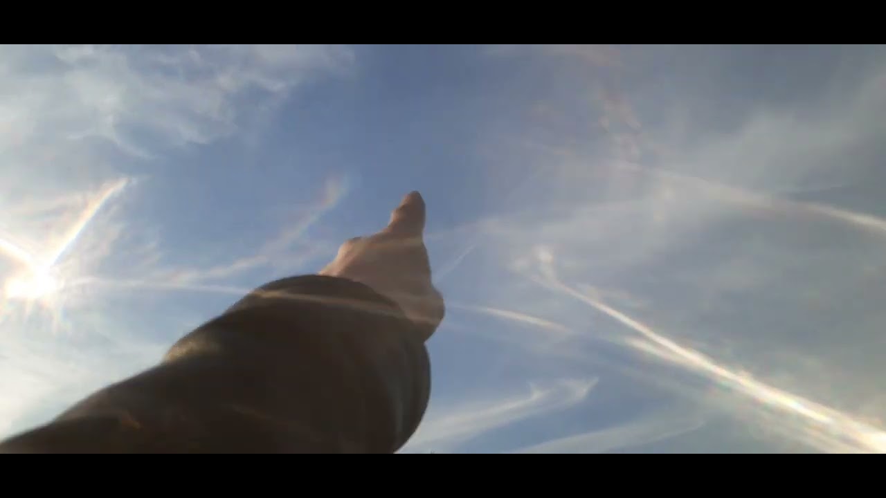 I JUST NEW TODAY THETEWOULD BE MOONDOGS AND SUNDOGS COS THEY WERE ...