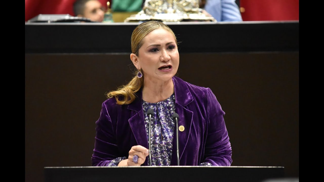 Dip. Sonia Rocha Acosta (PAN) / Discusión en lo general. Proyecto del # ...