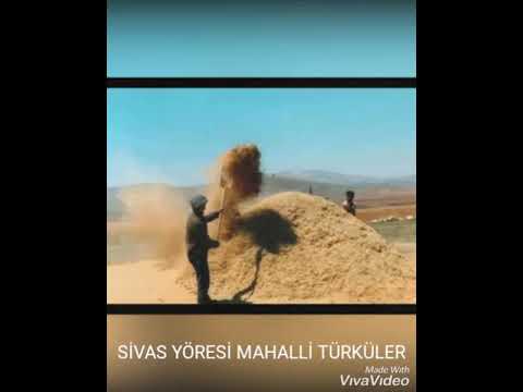 KAYMAKLI ZURNACI ALİ DALMIŞ EŞLİĞİNDE DOĞAÇLAMA BİR ZURNA DİNLETİSİ