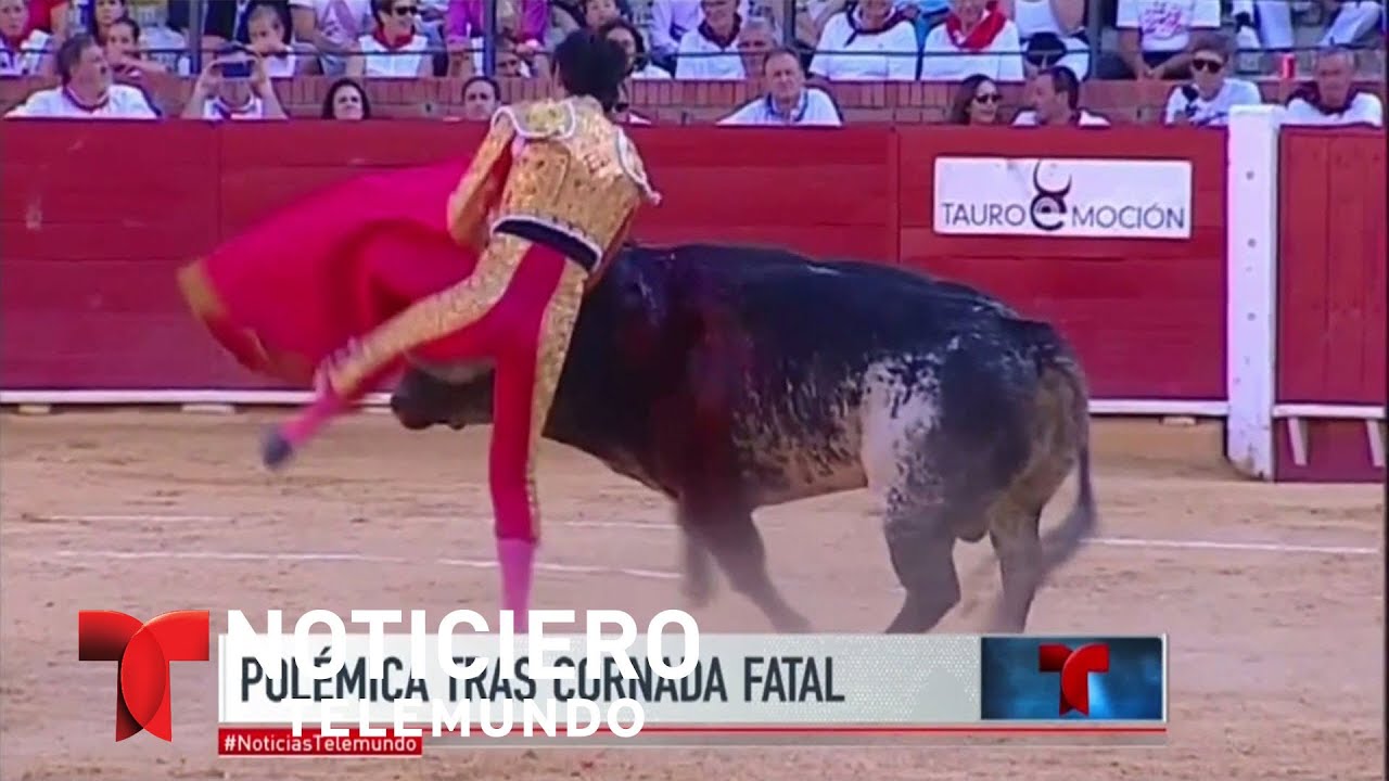 Duelo y polémica por muerte de torero en España | Noticiero | Noticias ...