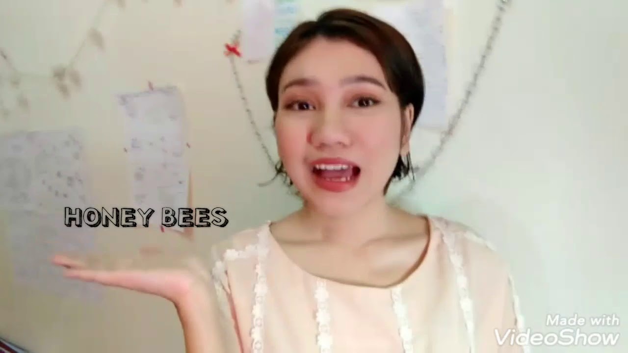 HONEY BEES - YouTube