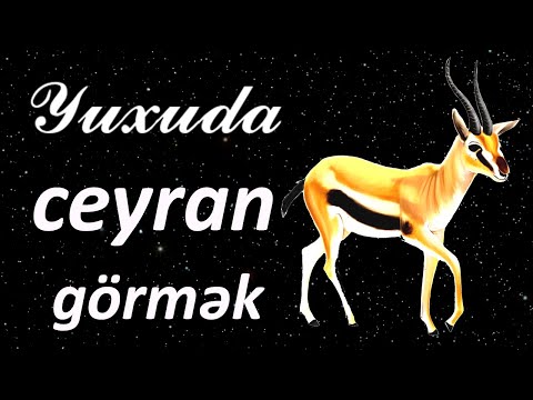 Yuxuda ceyran görmək ☾✵ Qısa Yuxuyozma