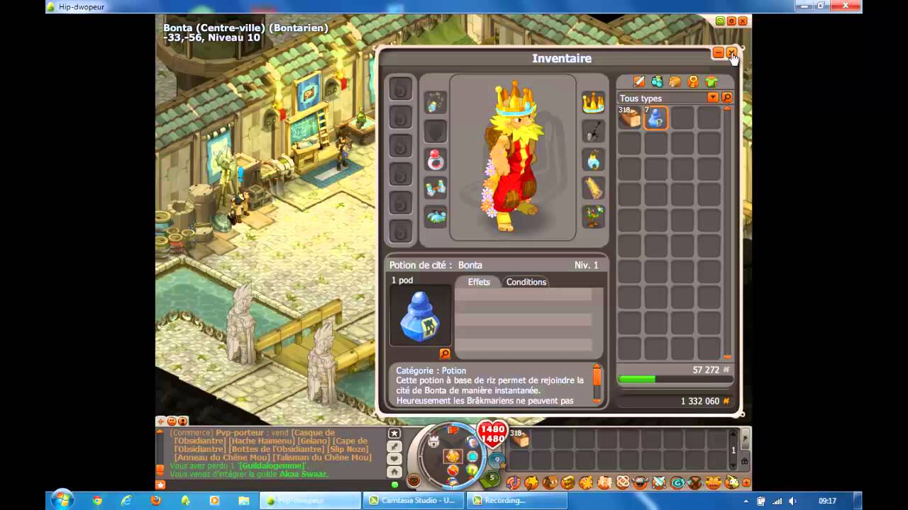 Guide pour créer sa guilde dofus - YouTube