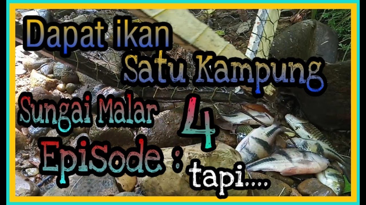 Malar River: Got Fish from One Village, But | Malar River:Got Fish from ...