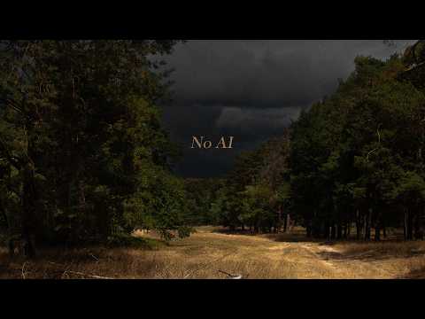 Forest Distant Thunderstorm | Lost Between the Trees | Calm Before the Storm | 3 HOURS